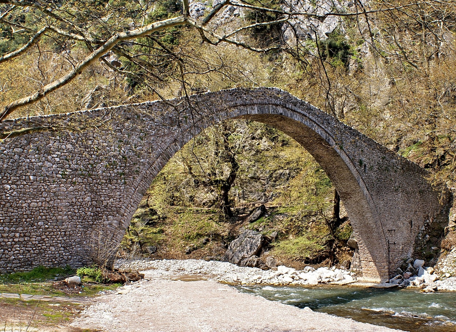 theoplanos: ΠΥΛΗ ΤΡΙΚΑΛΩΝ