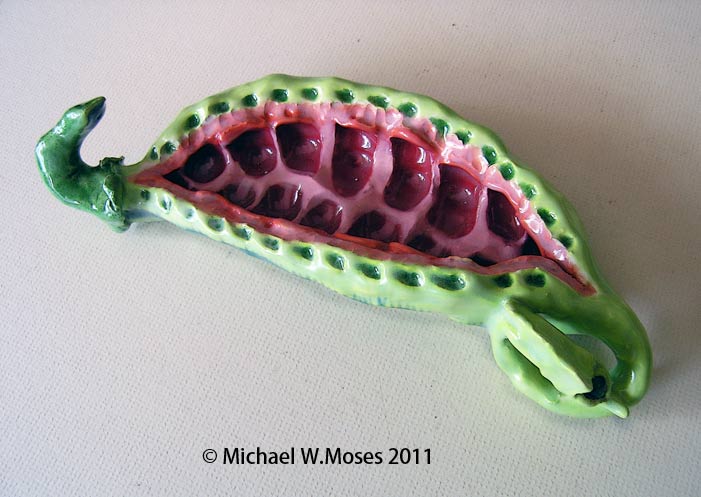 Michael W Moses Pottery, Photography, and Arts: New Alien Dragon Pod ...
