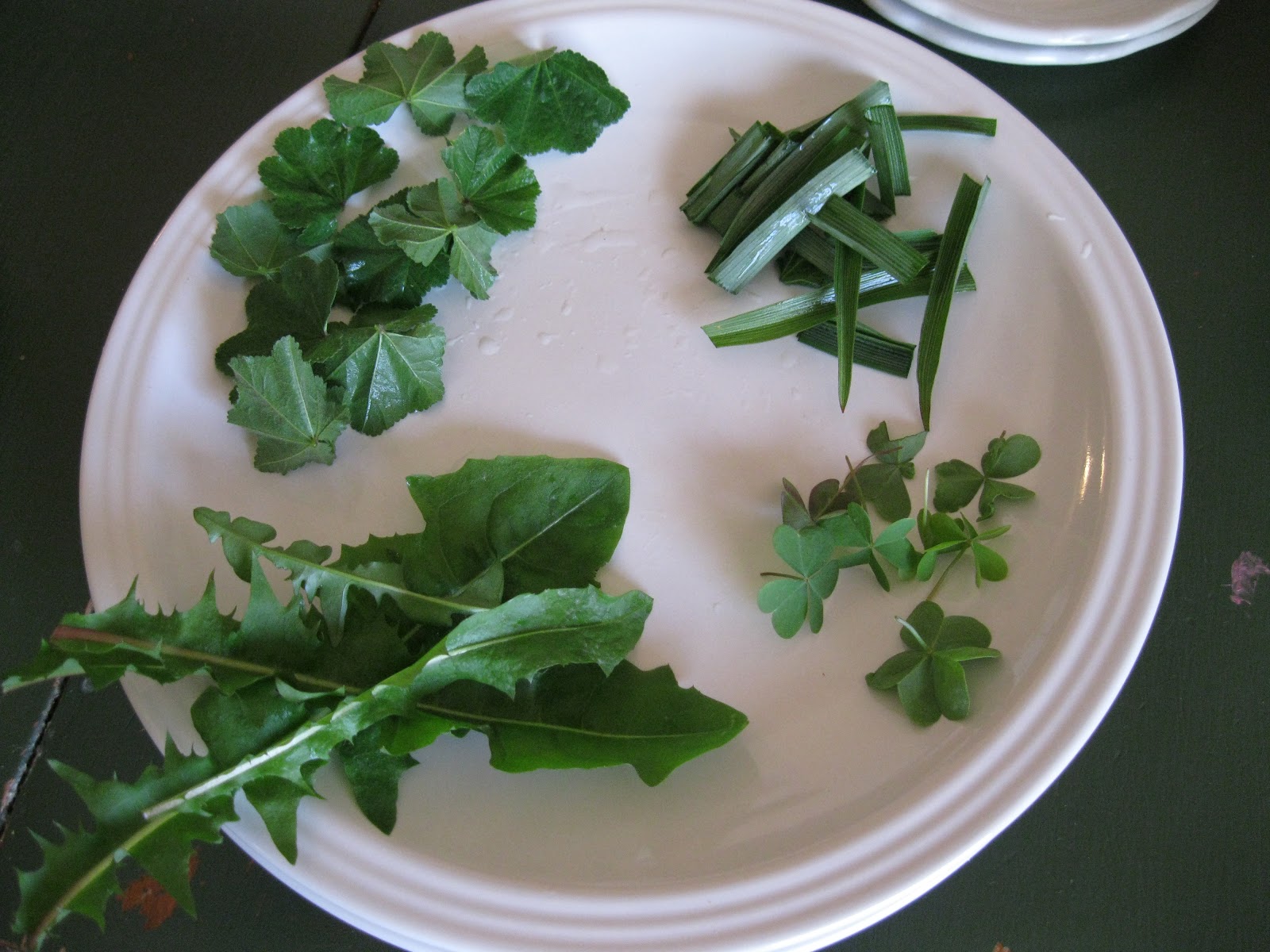 Wild Edible Texas: Wild Greens
