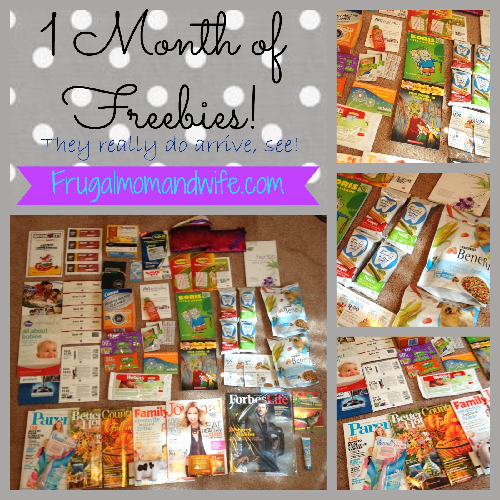 Frugal Mom and Wife: What's Been In Your Mailbox?? Freebies Available!