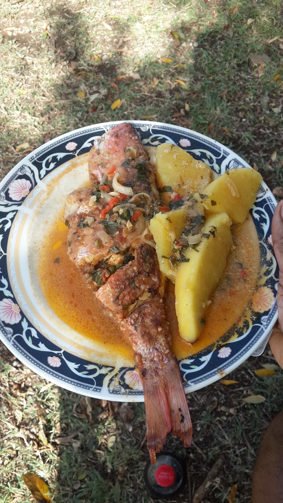 Trini Men are the Best Cooks: Tobago Stew Fish