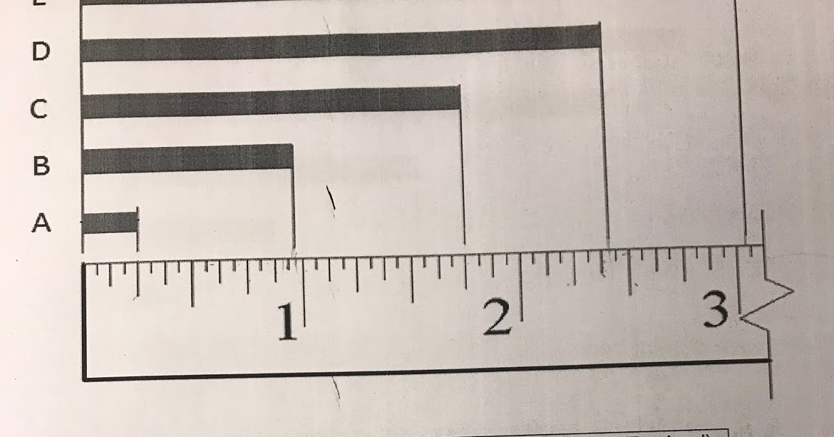 Activity 3.1b Linear Measurement with US Customary Units