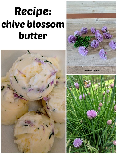 How to make chive blossom butter - Feathers in the woods