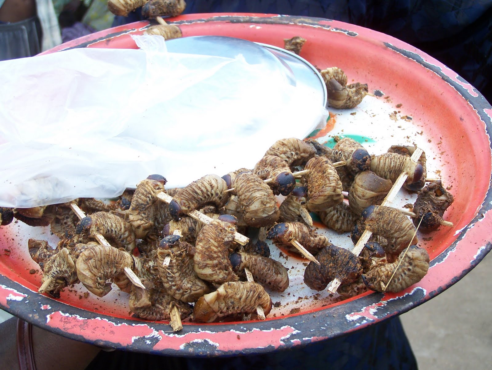 Hatcherscene: Food as Culture