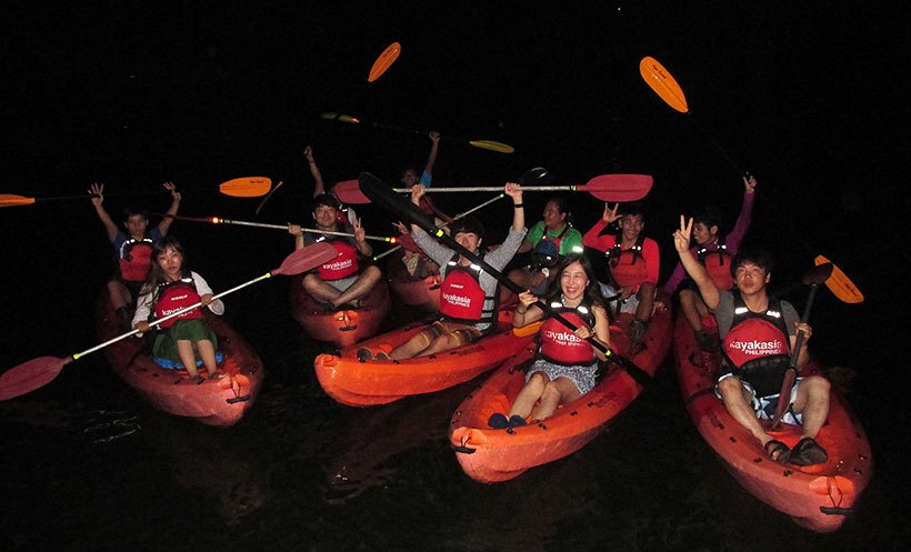 Firefly Watching ~ Bohol Island Tour - WoW Bohol Package Tours and ...