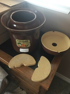 Aaron Rangel Gardening: March 2017