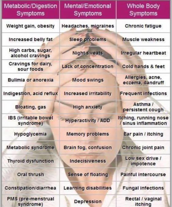 Everything Plexus: All About Candida Yeast