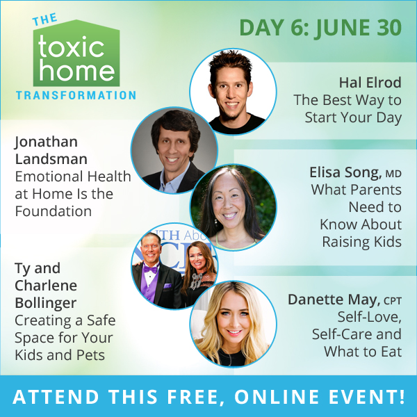 MessiahMews Blogs: [The Toxic Home Transformation Summit]: Day 6 - How ...