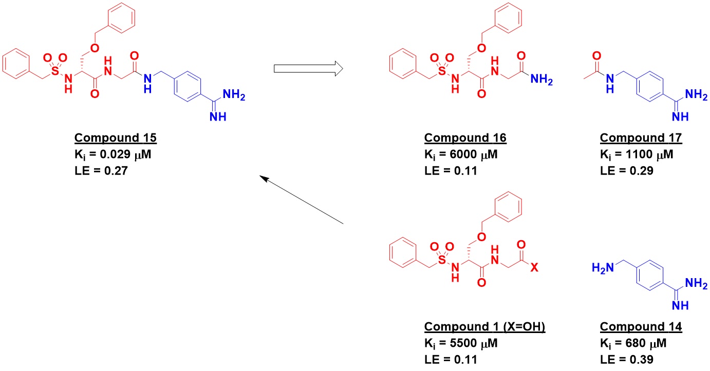 Practical Fragments: Fragment-linking on proteins: amide formation