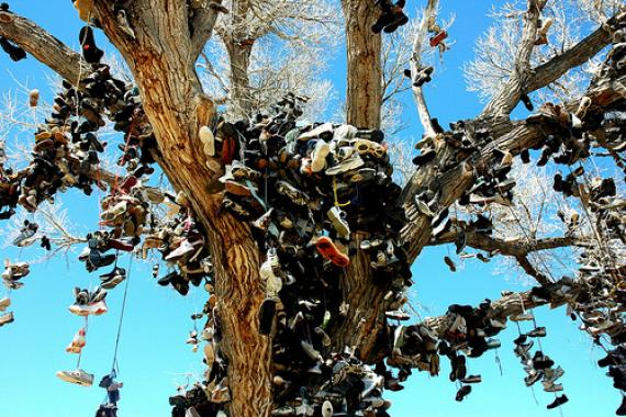Folks, Listen!: A SHOE TREE AT E-FREE!