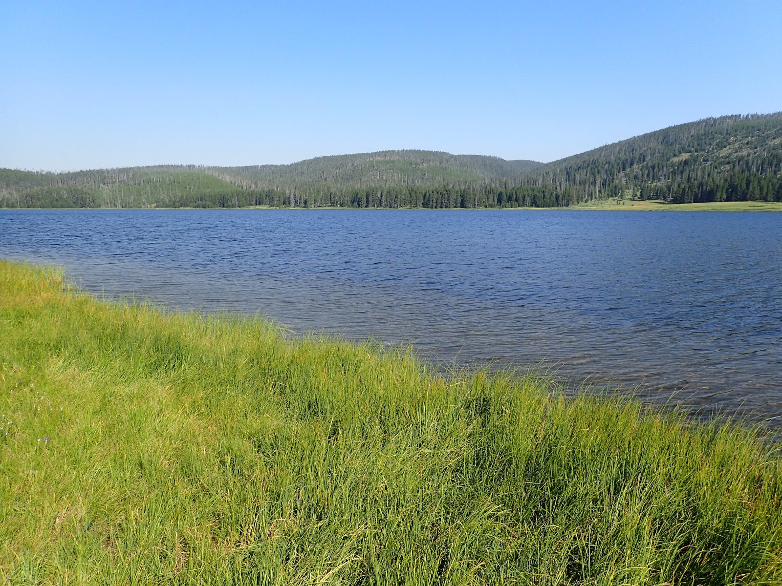 Mad River Outfitters: A Day Off