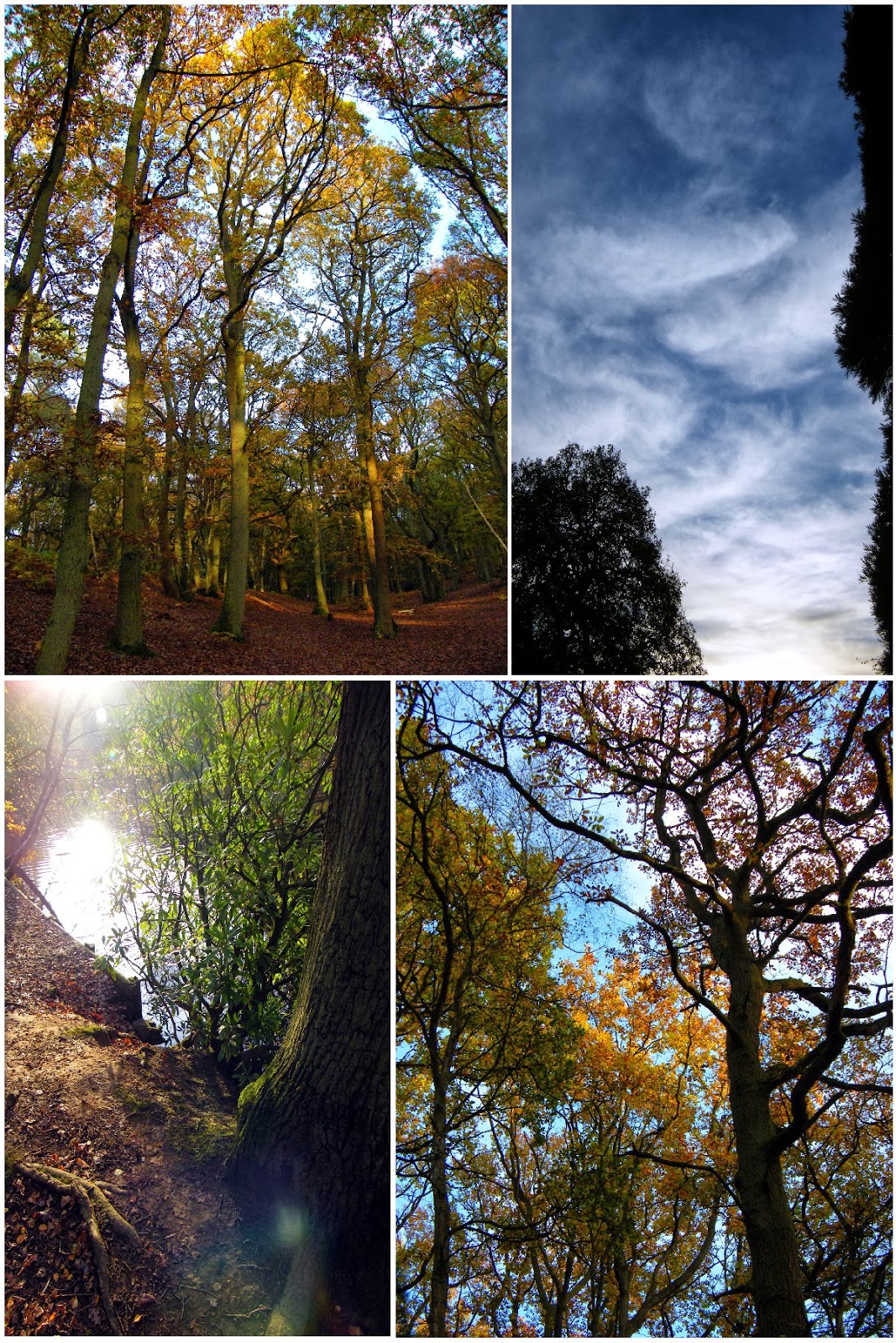 Annie's Place: Ambient light