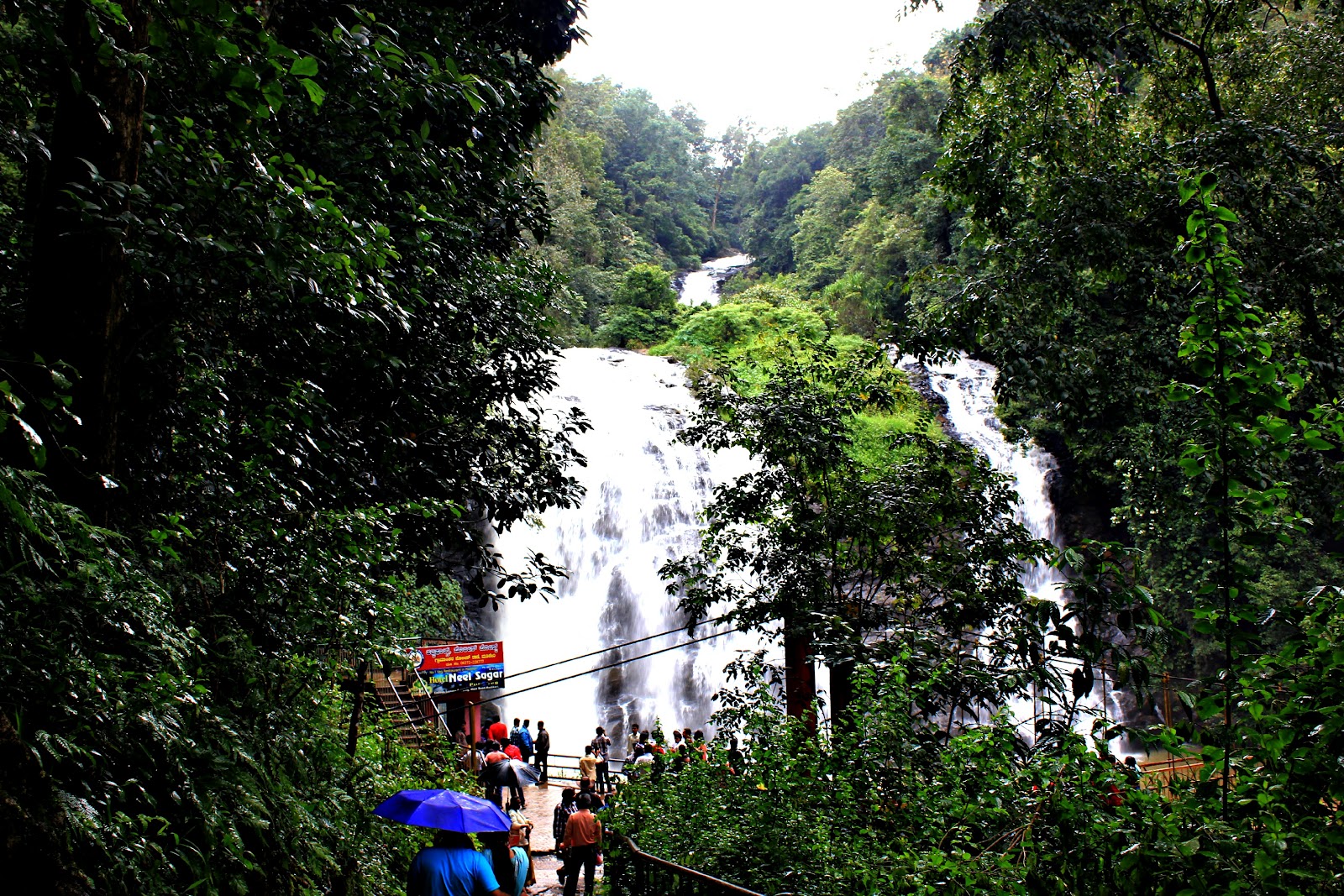 Day 1 Travel to Coorg - See what I see everyday!!!
