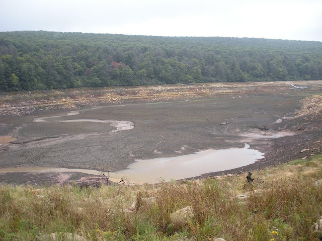 Blue Ridge Foothills & Lakes Virginia Master Naturalists: "Fixing" the ...