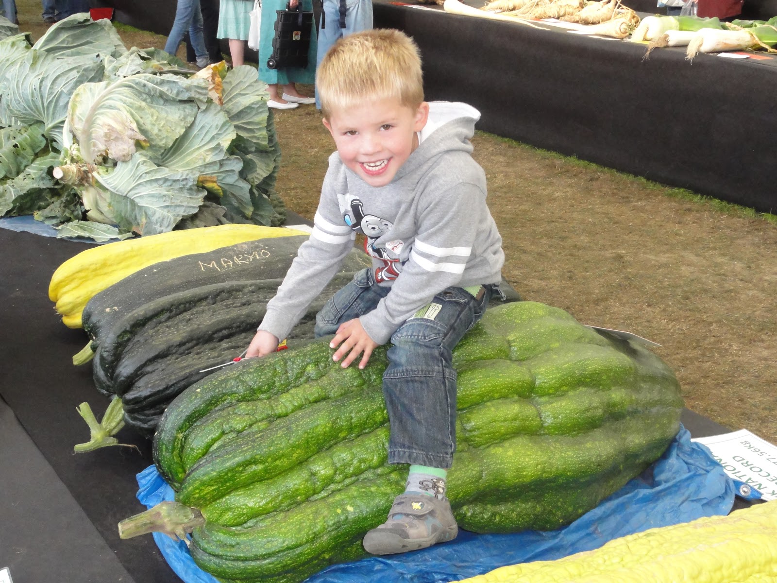 How to grow a giant marrow: Giant Marrow
