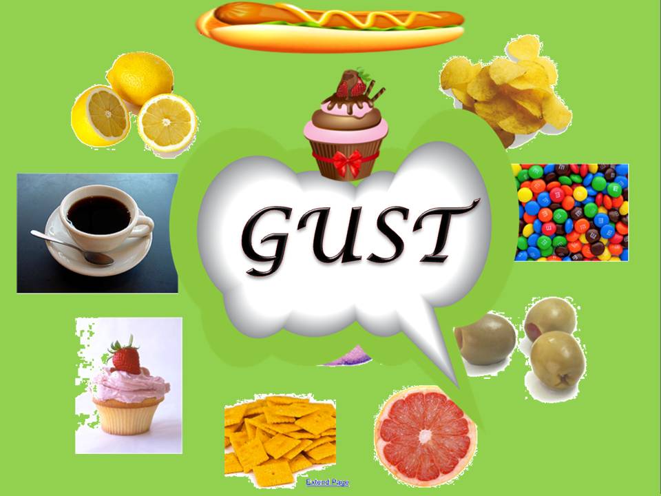 S.T.R.U.M.F. : Exploram cele cinci simturi