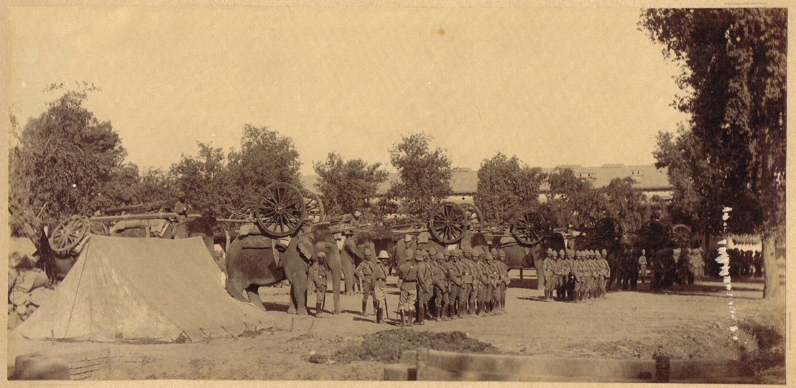 Military Elephant Battery in Peshawar - c1900 - Old Indian Photos