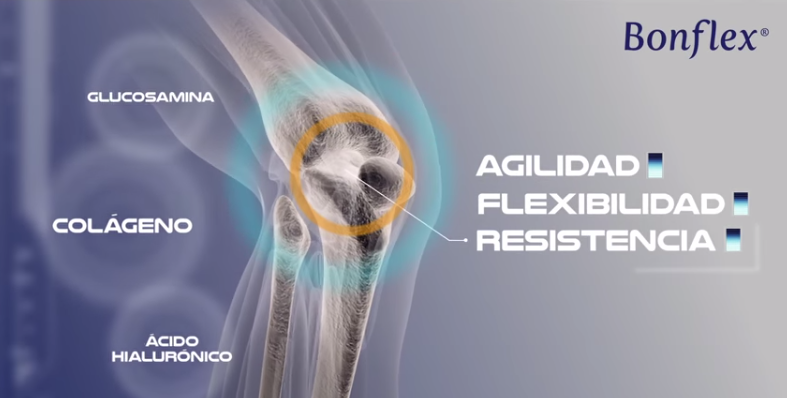 cremabase: Articulaciones sanas con Bonflex