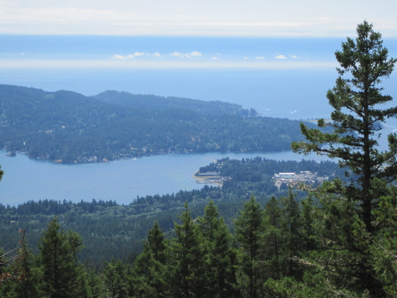 Tuesday Ad Hoc Hikers: Tuesday June 25, 2013 Mount Manuel Quimper
