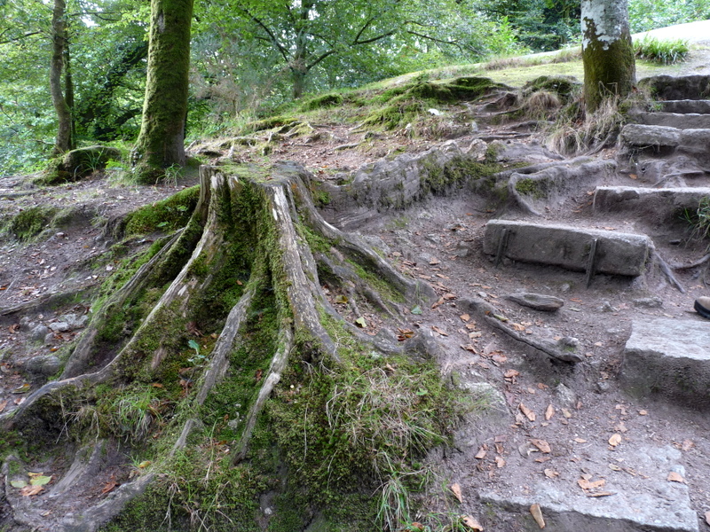 box elder: The Chaos at Huelgoat: in Segalen's footsteps, trembling ...