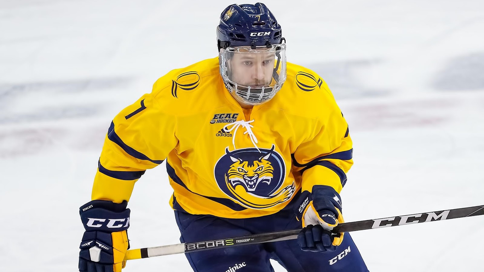 vipersdiehardfan blog: Former Viper Mick’s Unique Journey To Division I ...