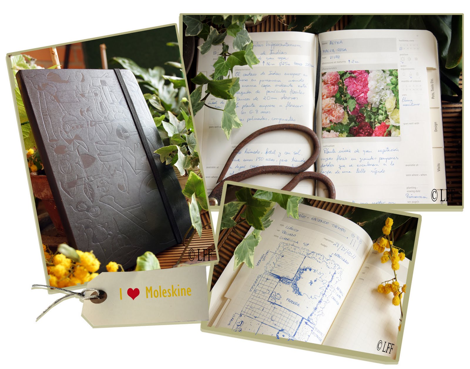 Pensando Jardines: GARDENING JOURNAL