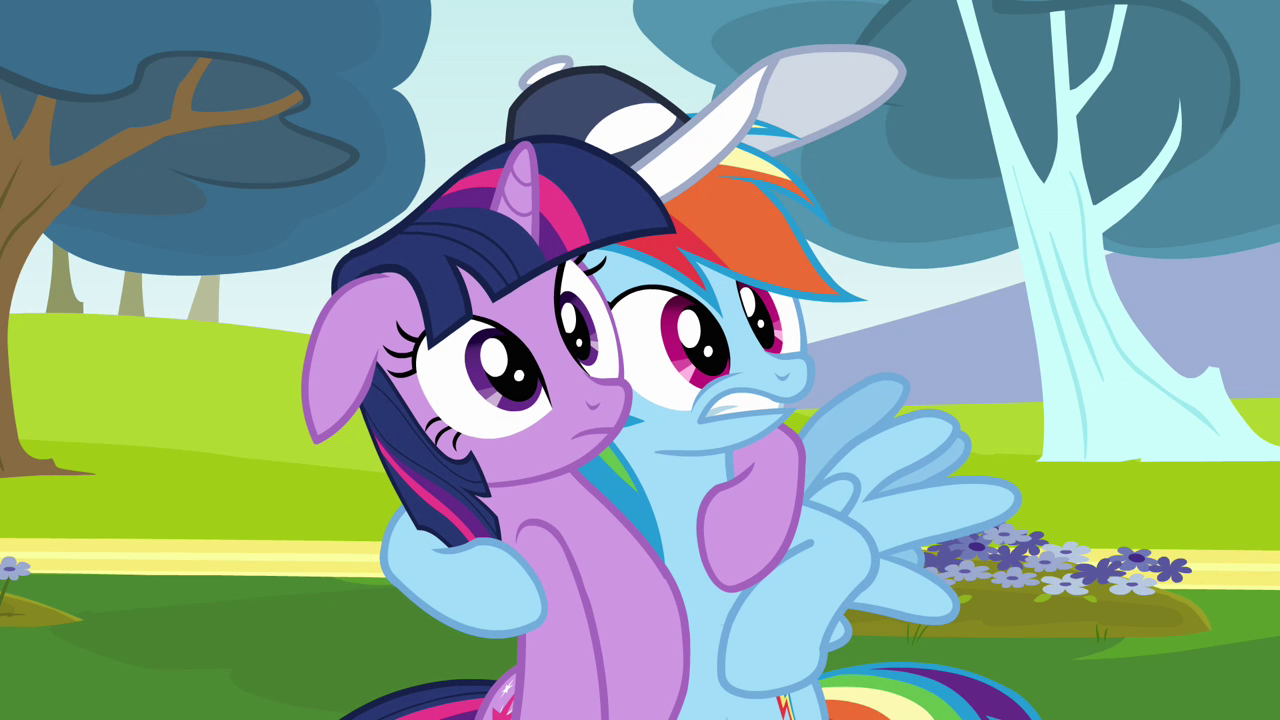 Equestria Daily - MLP Stuff!: Discussion: Favorite Pony Duo?