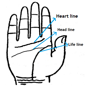 TYPES OF LIFE LINE AND ITS IMPACT ON HUMAN LIFE
