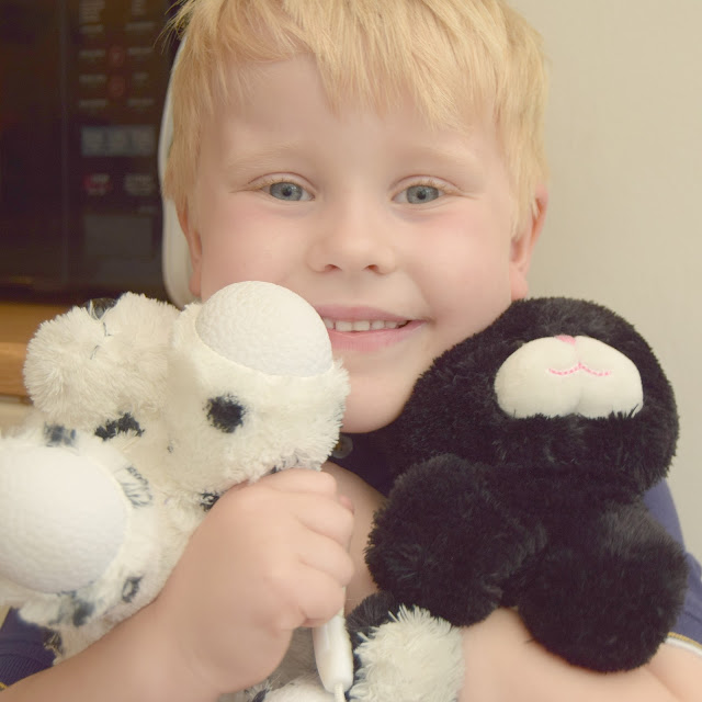 Wafflemama.: Wobbleez & Zookies >> Toy Review