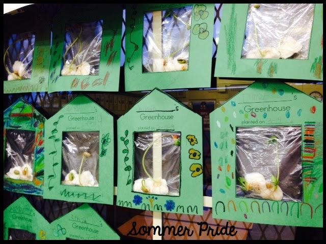 Greenhouses! {FREEBIE}