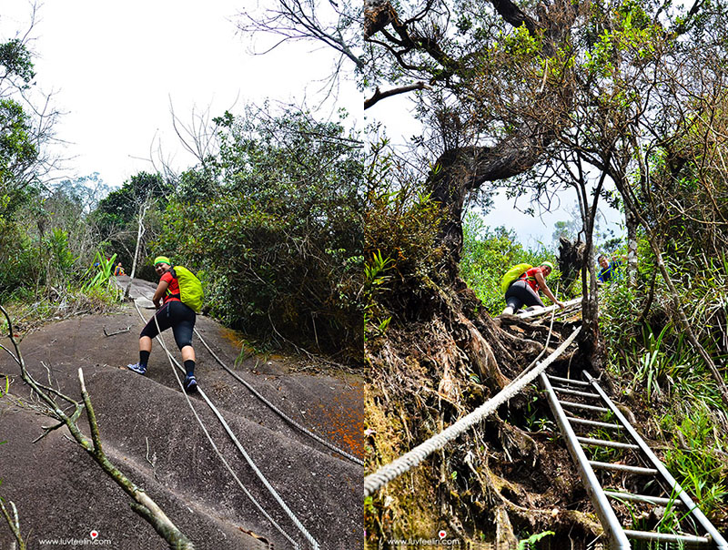 Gunung Ledang (Mount Ophir) 邀金山公主（柔佛最高峰）一起捞生 - 乐飞翎 ♥ LUVFEELIN