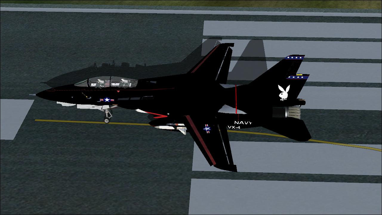 .:FS PRO BRASIL SERVER:.: FS2004 - Grumman F-14D Tomcat Rev 4