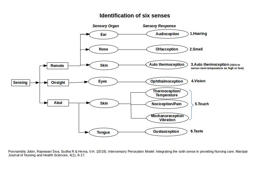 My Teaching Experiences: Human senses- Identification of six senses in ...