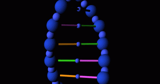 MUNDO CARACOL: 4º ESO ACTIVITIES