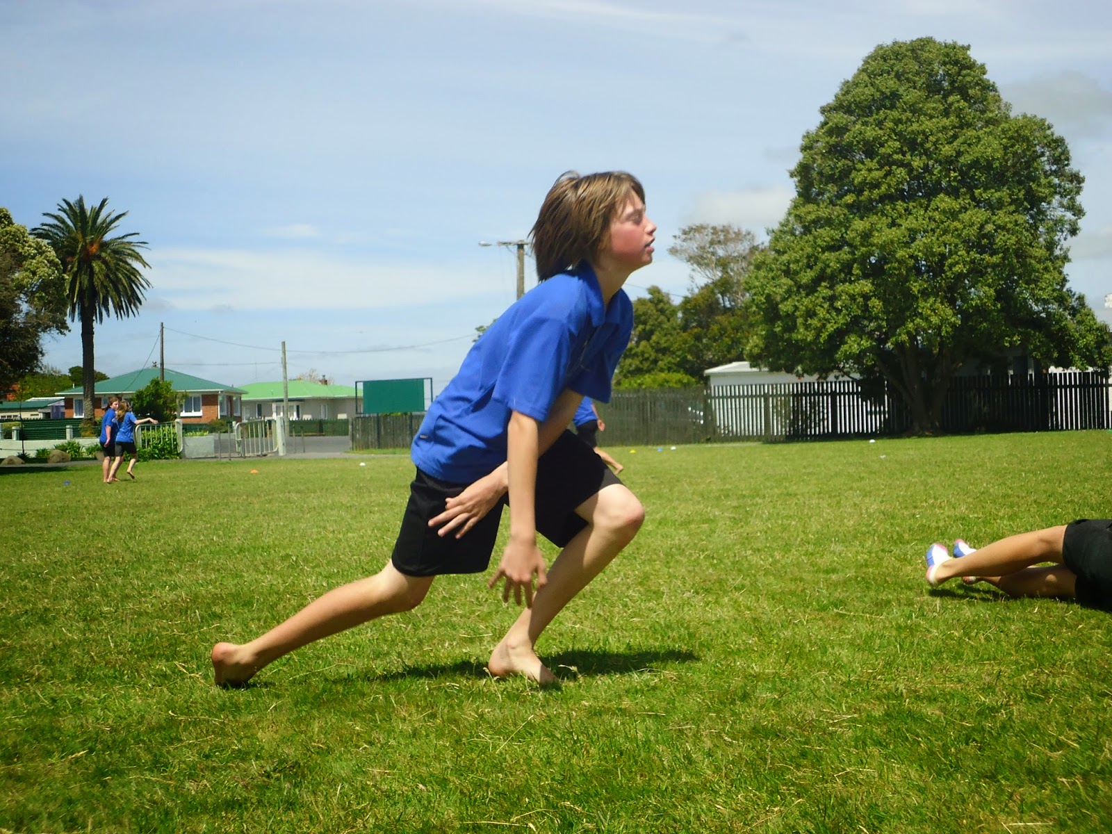 Room 5's Blog, Dargaville Intermediate School