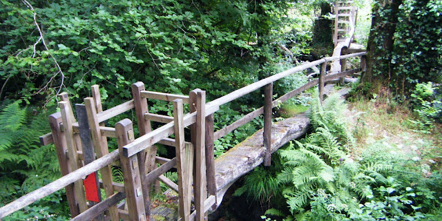 My Dartmoor Walks: Tuesday 5th July Manaton to Lustleigh