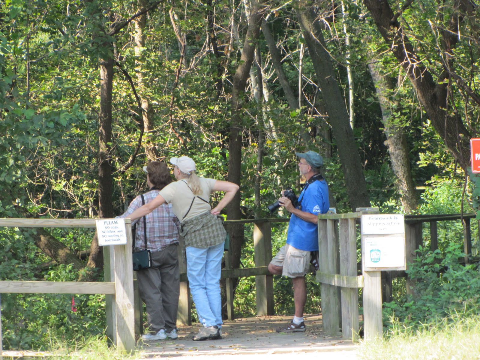 Flitzy Phoebie: Magee Marsh Wildlife Area - Ohio
