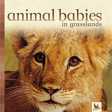 Ms. Batte's Kinderland: Unit 2, Week 3 - Animal Babies in Grasslands