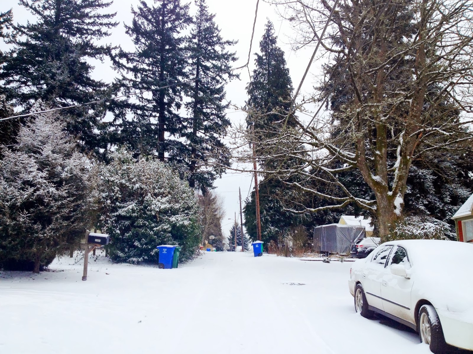 Portland's Snowmageddon 2014