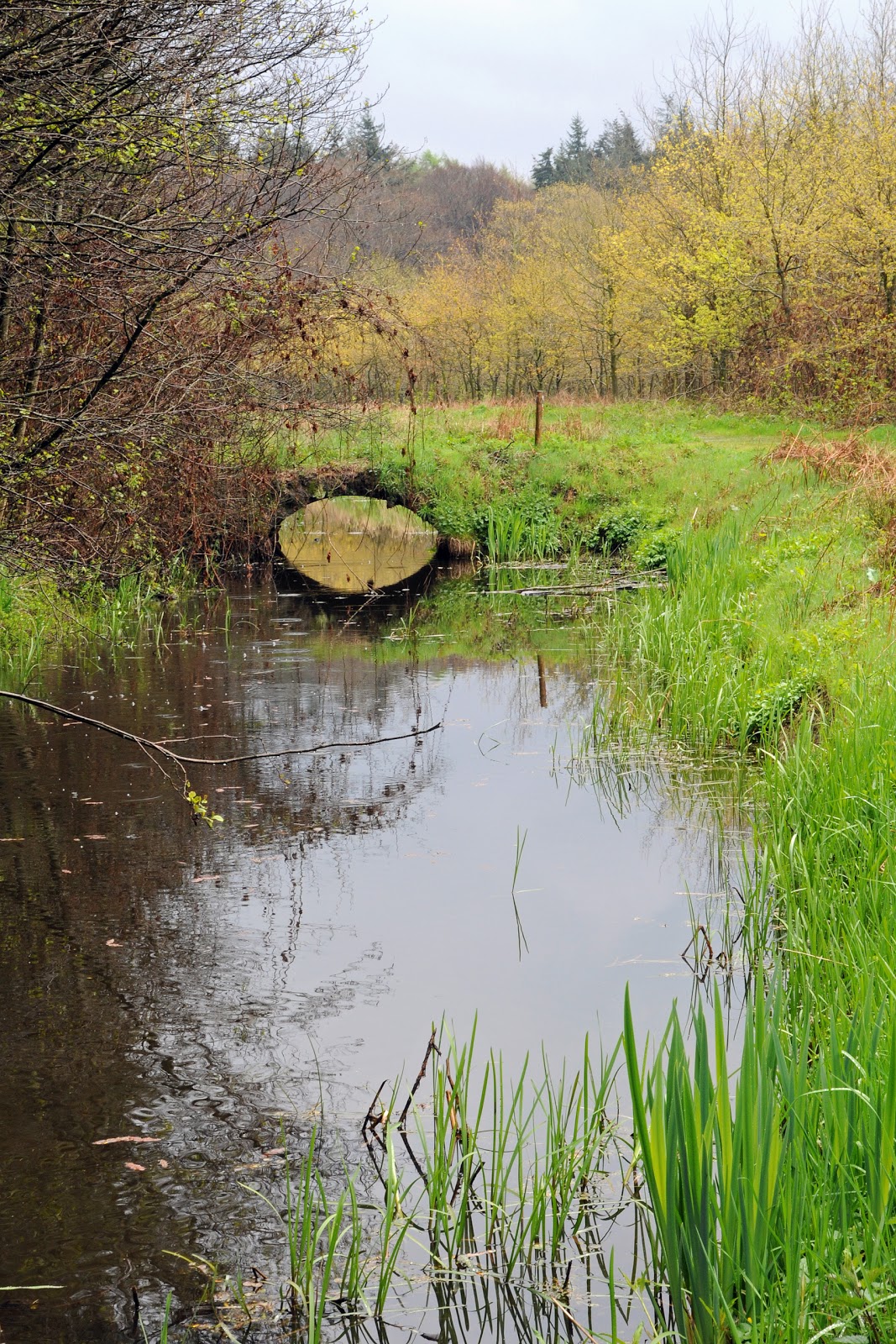 De Ontdekking van het Licht: Oude Barneveldse Beek