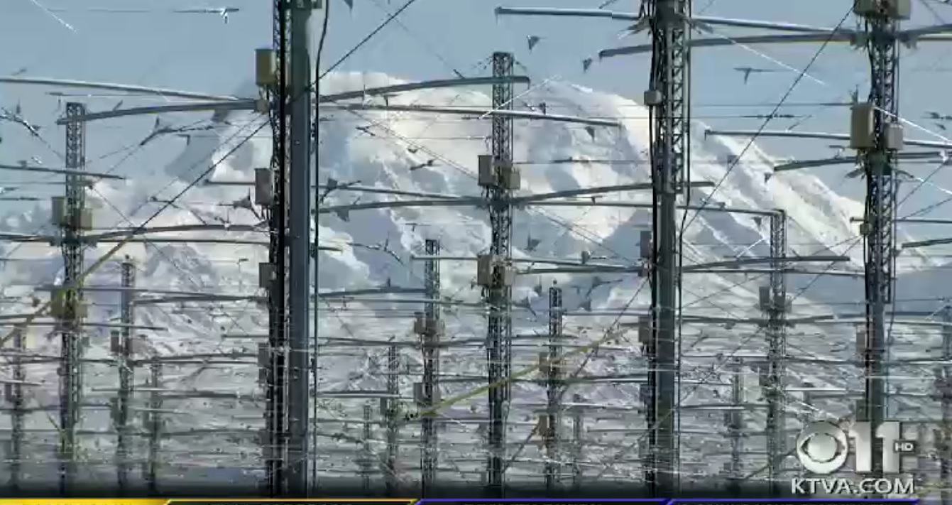 RADIOASCOLTO LISTEN TO THE WORLD: THE LONG TERM PROGRAMS OF HAARP