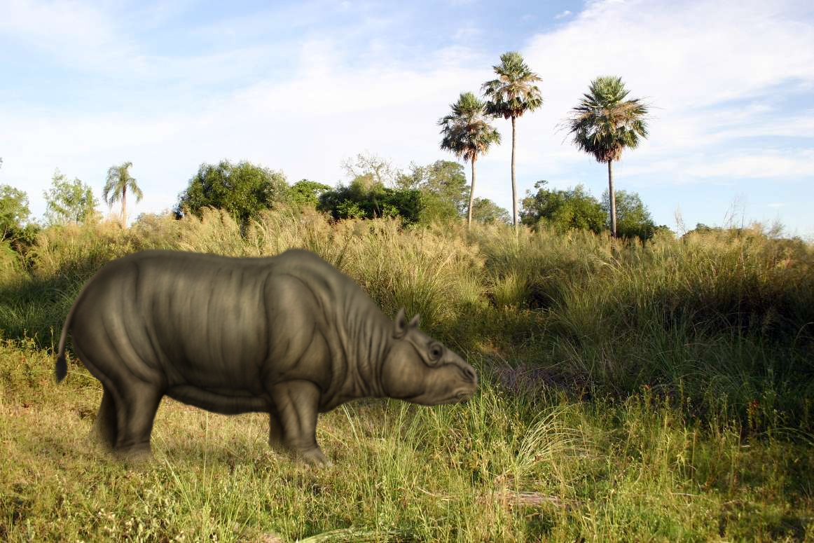 Escenarios prehistóricos: Mixotoxodon