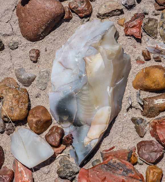 cruisingat60: Jasper Forest - a photo documentary