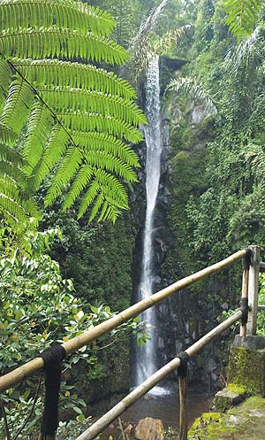 Holiday Ideas : Waterfall Parang Ijo for Silence Seekers - HolidayMamboo