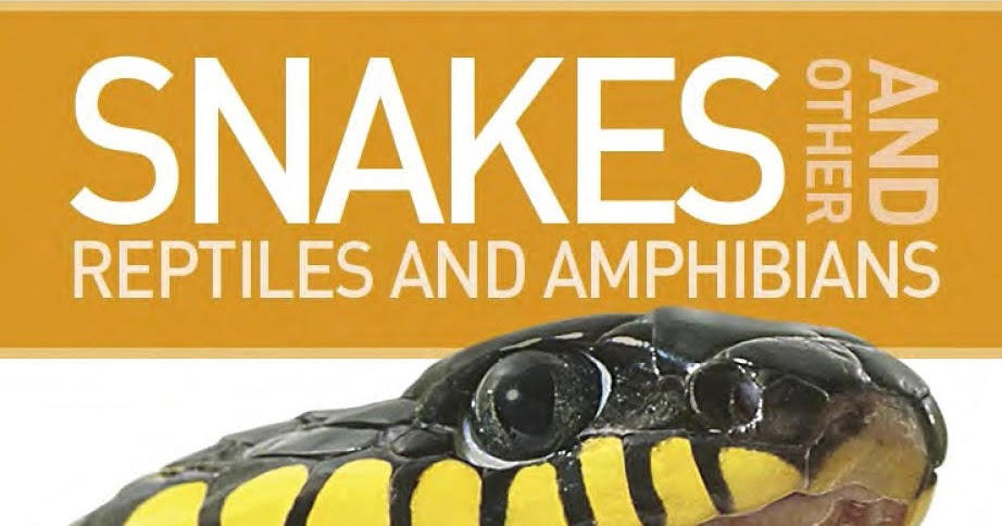 Read My eBooks & eMagazines for FREE!!!: Snakes and Other Reptiles and ...