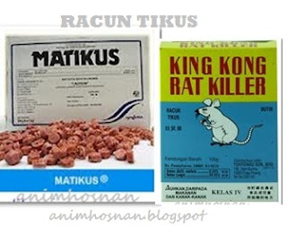 Anim Agro Technology: HARGA RACUN TIKUS