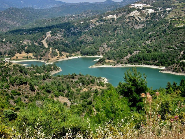 Biodiversity of Cyprus by NGO Protection of the Natural Heritage and ...