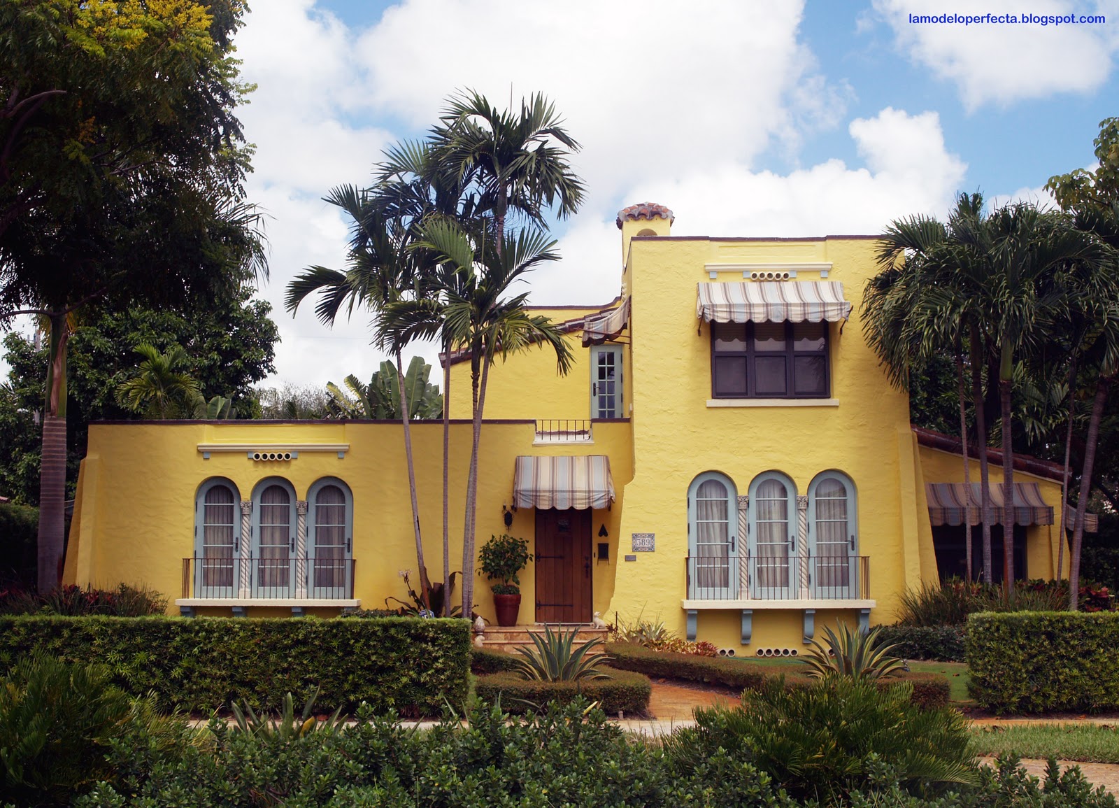 la modelo perfecta: Thursdays Of Yellow Houses in Miami Shores