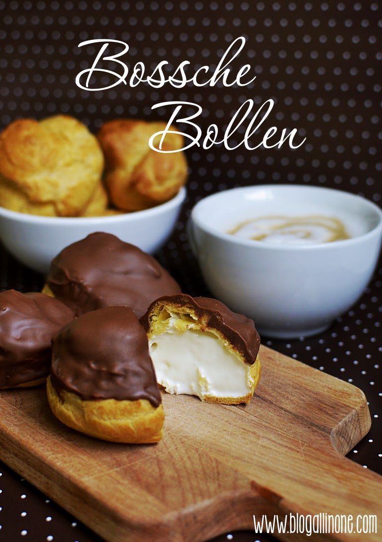 All in One: Bossche Bollen