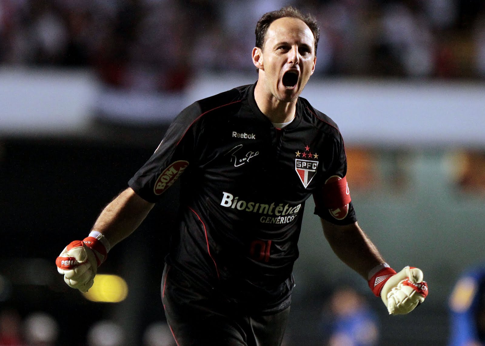 Fotos do Goleiro Rogerio Ceni do São Paulo - Fotos de Jogadores
